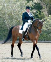 David Schmutz | 'S' Dressage Judge & FEI Para Judge | GDS Dressage